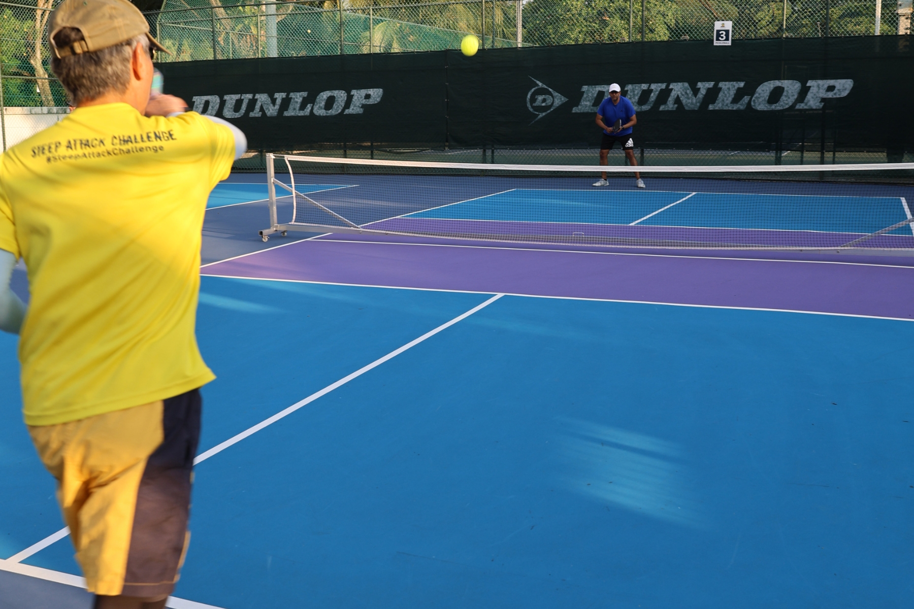 Pickleball Private Coaching - Singapore Swimming Club